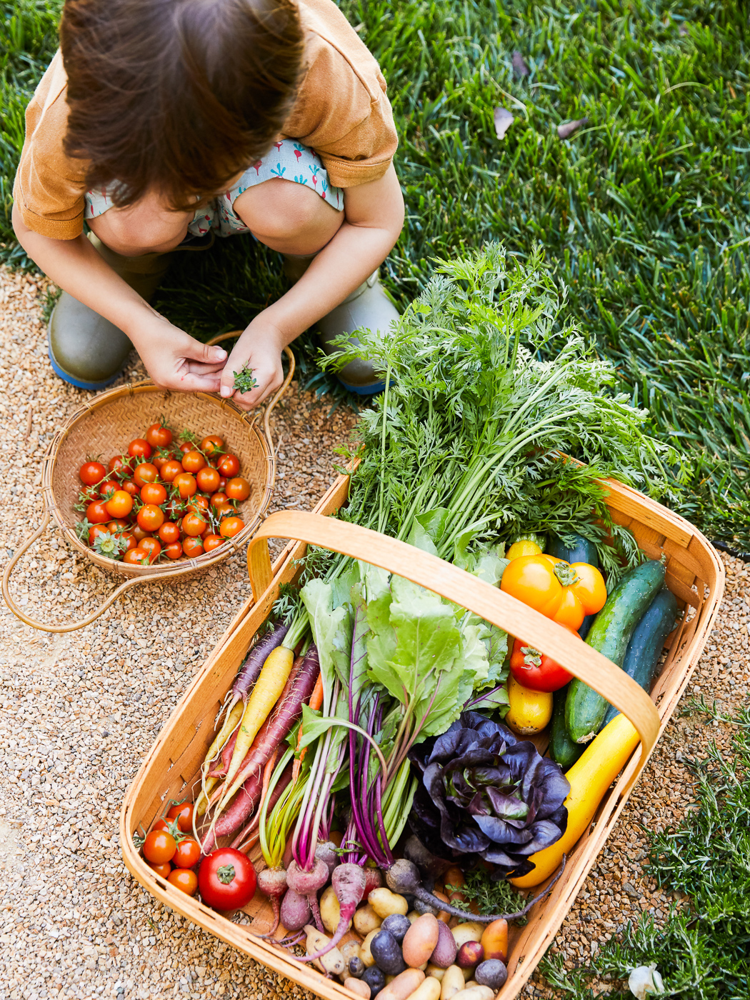 Erin Kunkel Photography - Harvest
